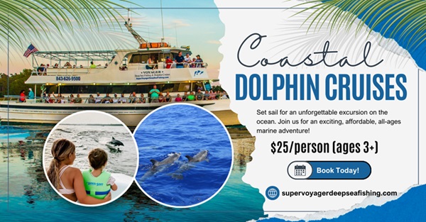 Fall is the Perfect Time for a Family Dolphin Cruise